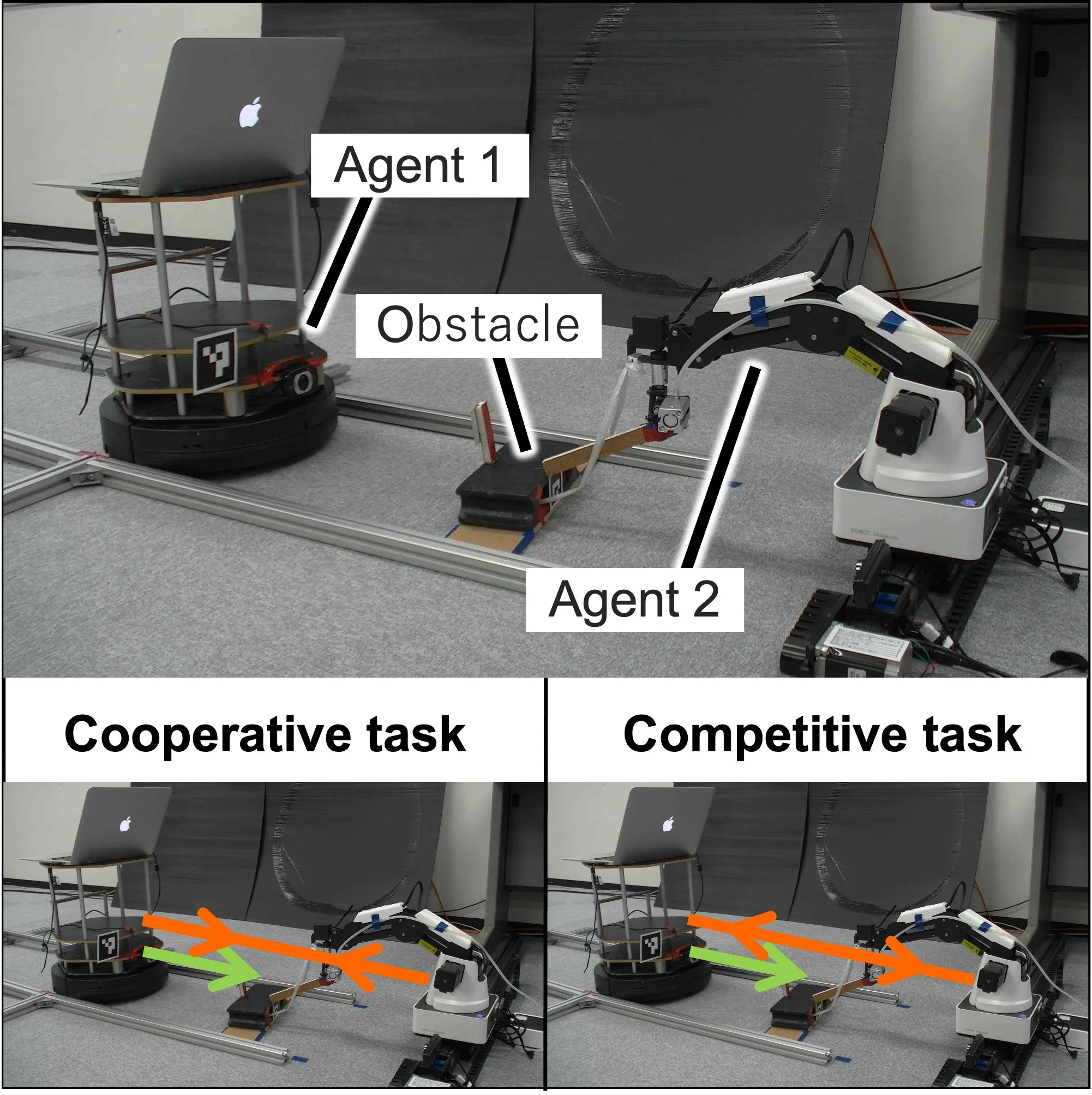 Bottom-up Multi-Agent Reinforcement Learning | Takumi Aotani